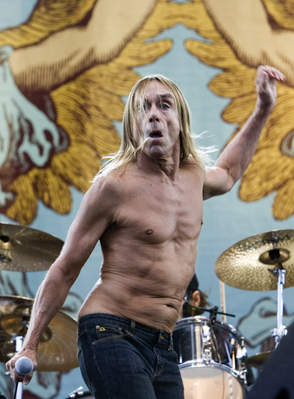 Iggy & The Stooges