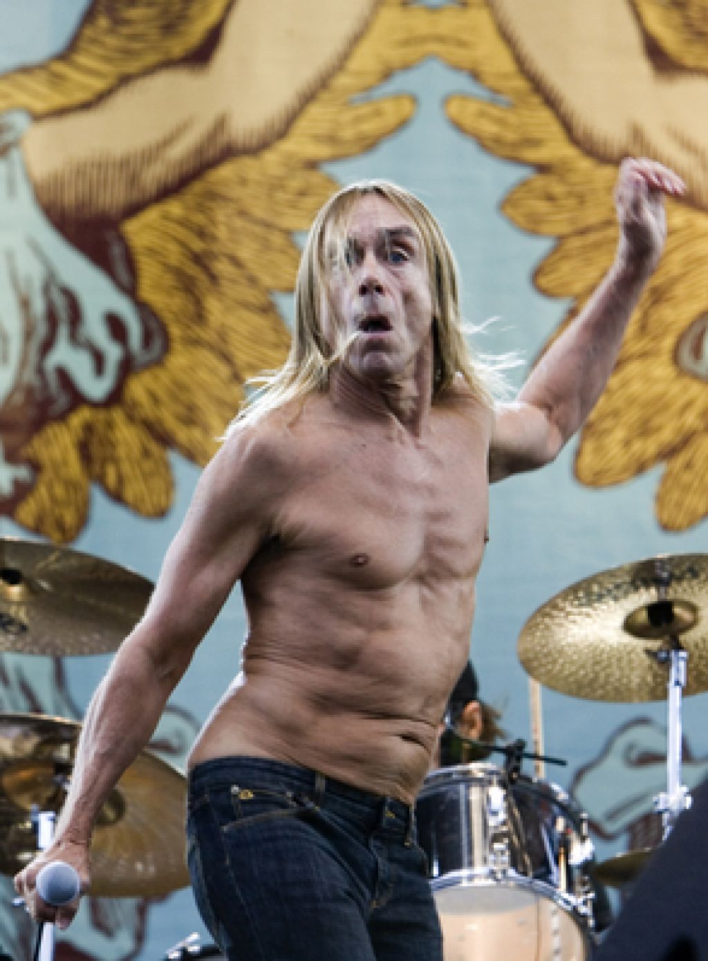 Iggy & The Stooges