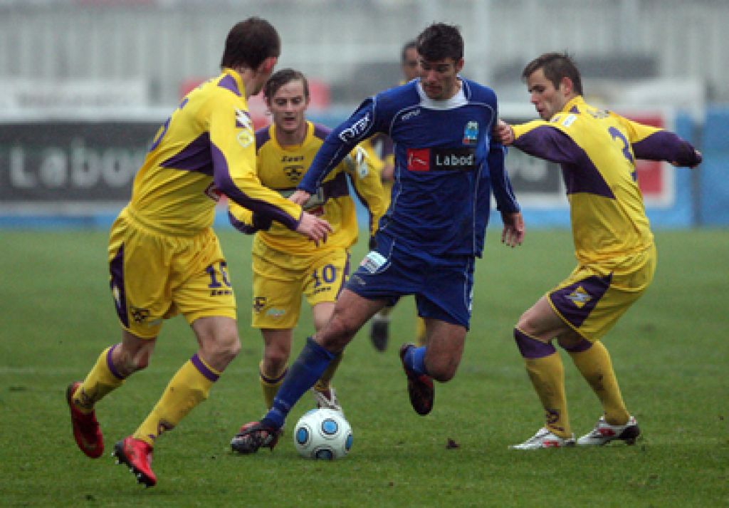 Kronaveter bo mreže tresel za knape