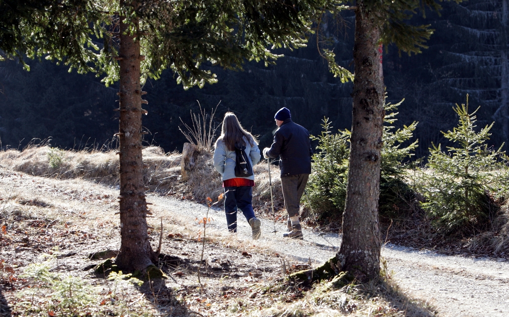 Za gibanje ni nikoli prepozno