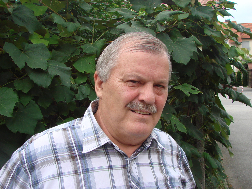 Virant napoveduje revizijo poslovanja občine