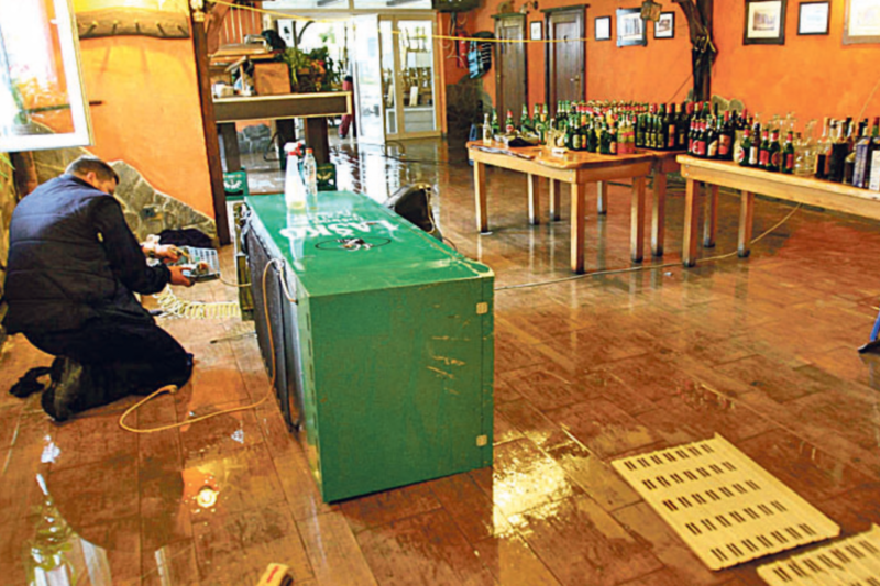 Preživeli vajo za vesoljni potop