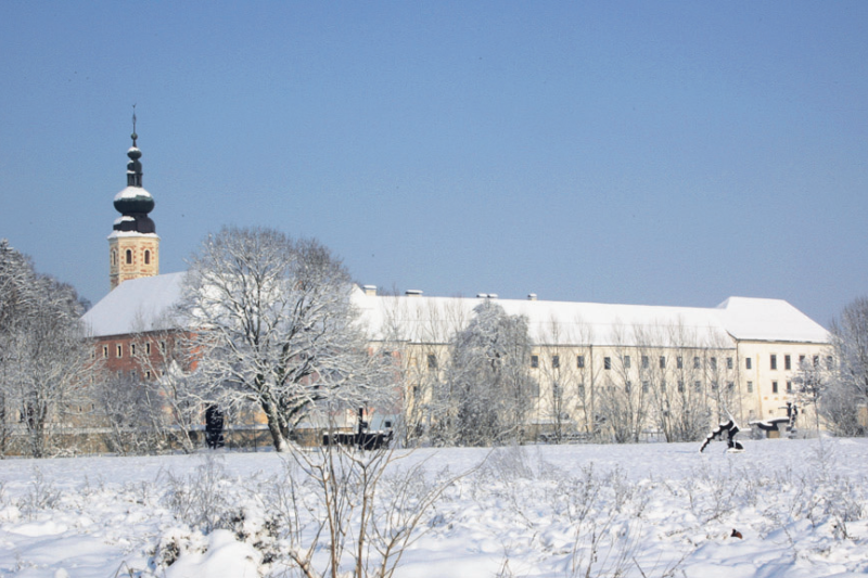 Krakovski gozd živi tudi pozimi