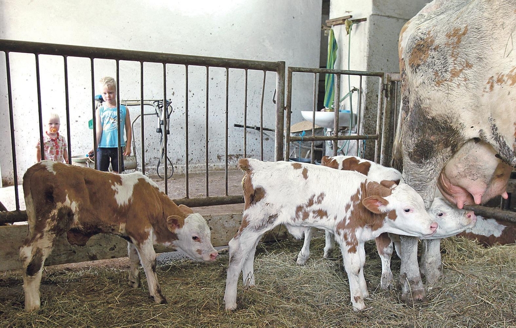 Cvekove so osrečili Tom, Milka in Jon