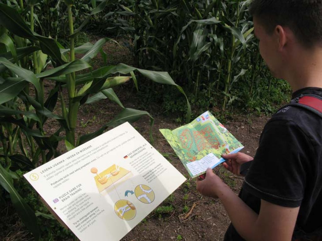 Deloindom: Tematski park v naravi – Labirint Bled