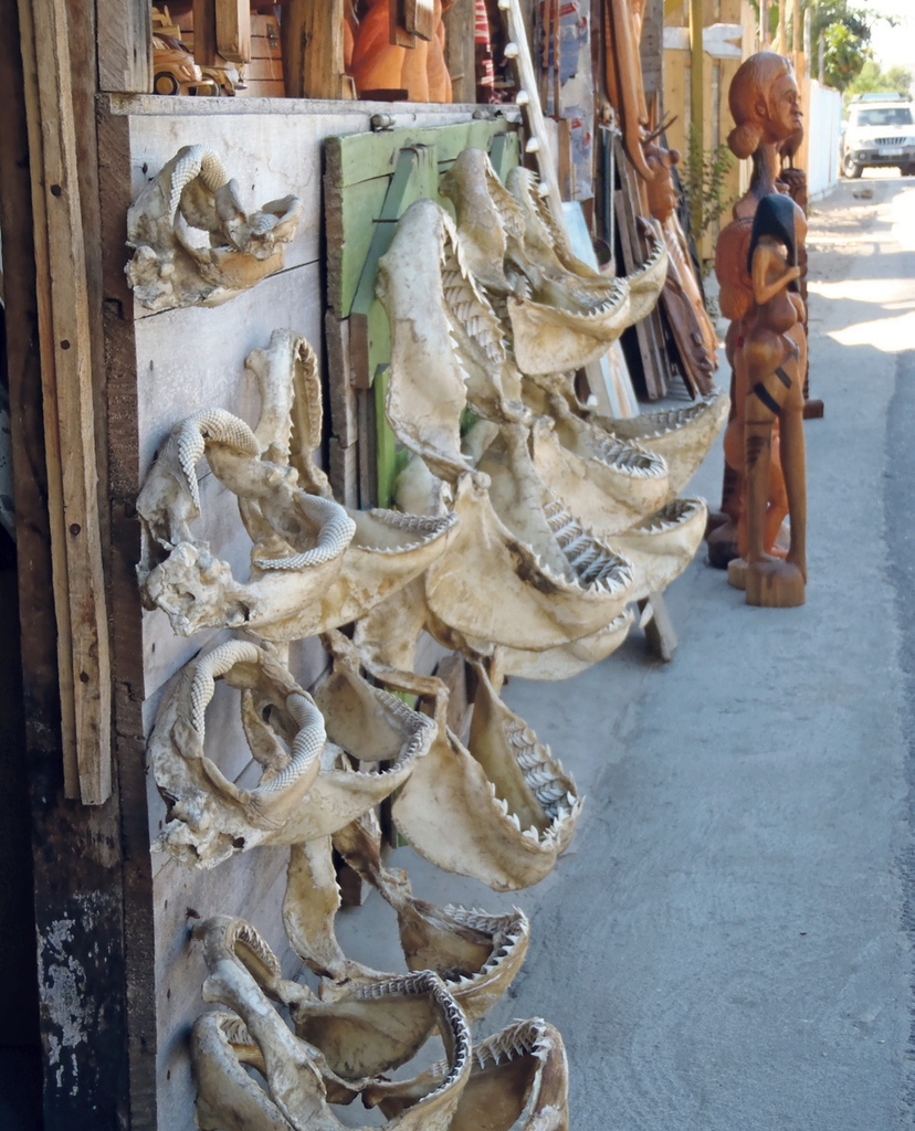 Damijan: »Beli, beli me je, pomagajte!«