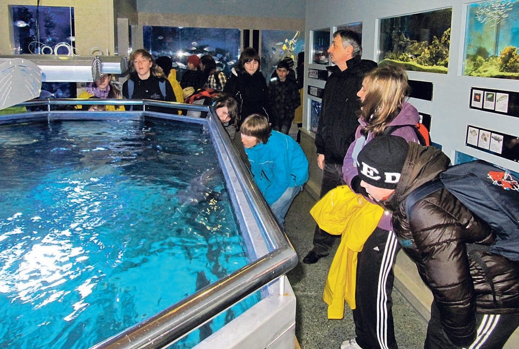 Piranski akvarij praznuje