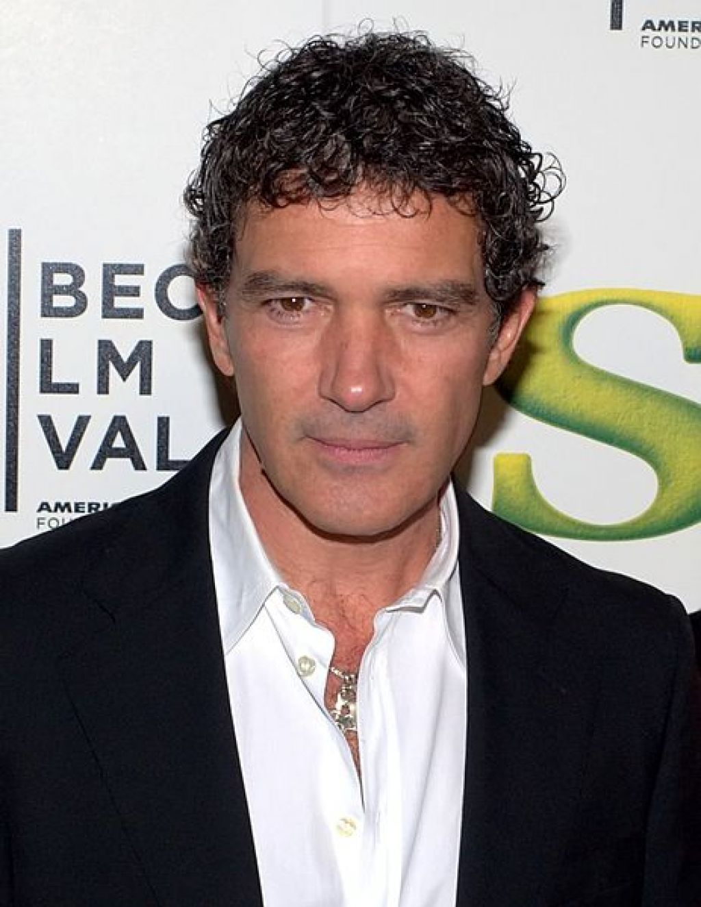 Antonio Banderas bo Picasso