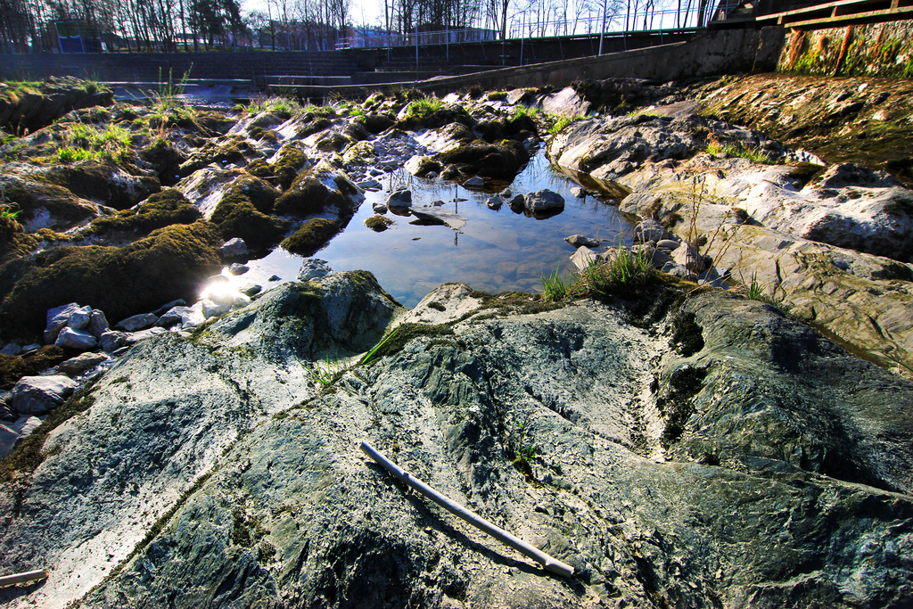 V reki Savi v Tacnu zjutraj našli žensko truplo