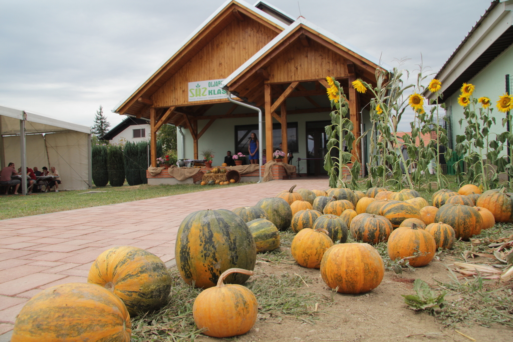 Nova oljarna za pomurske buče