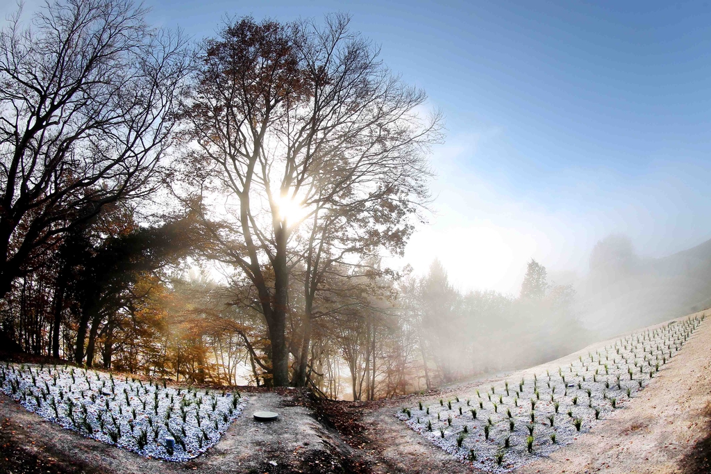 Lisca dobila čistilno napravo