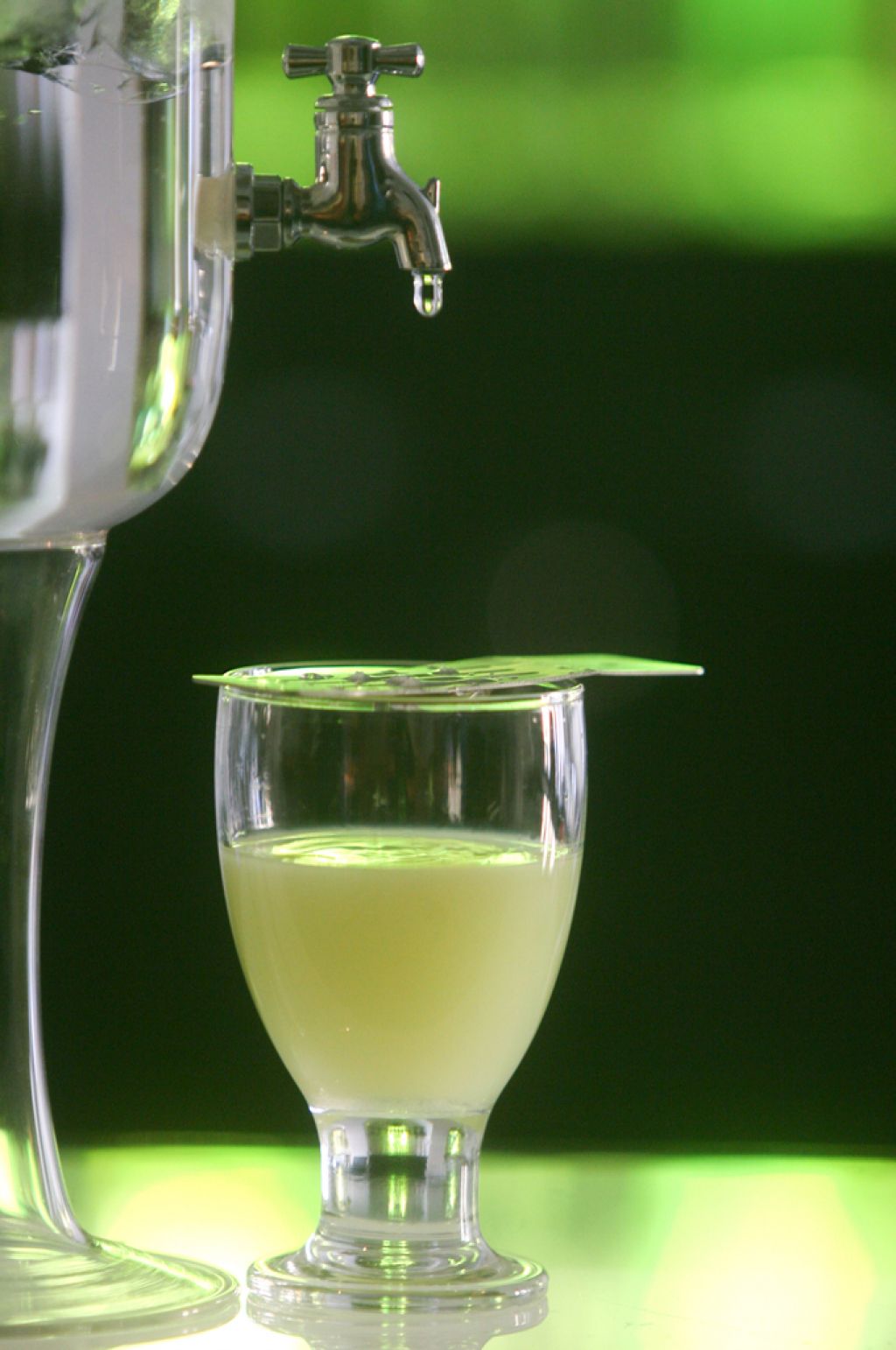 Absint povzroča glavobol evropskim poslancem