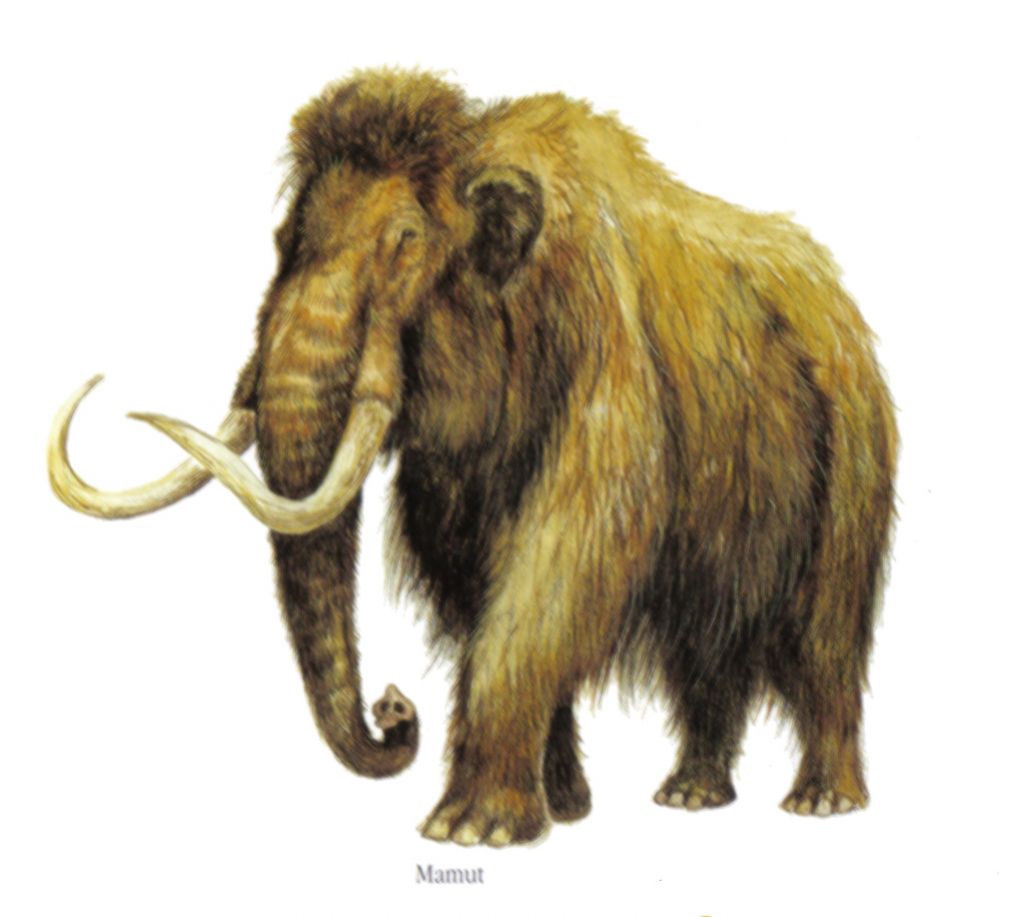 Znanstveniki gojijo zarodke izumrlih vrst