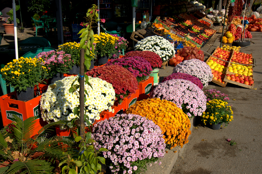Makedonija - tam, kjer večno sonce sije