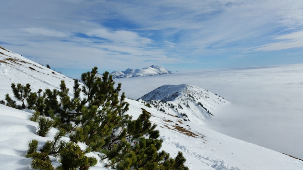 Pogrešana lovca našli mrtva