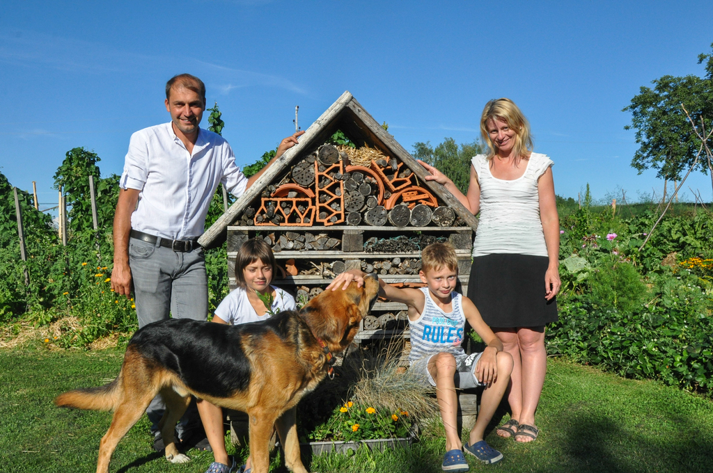 Nedelo izbira: Pri baronu, Planica nad Framom