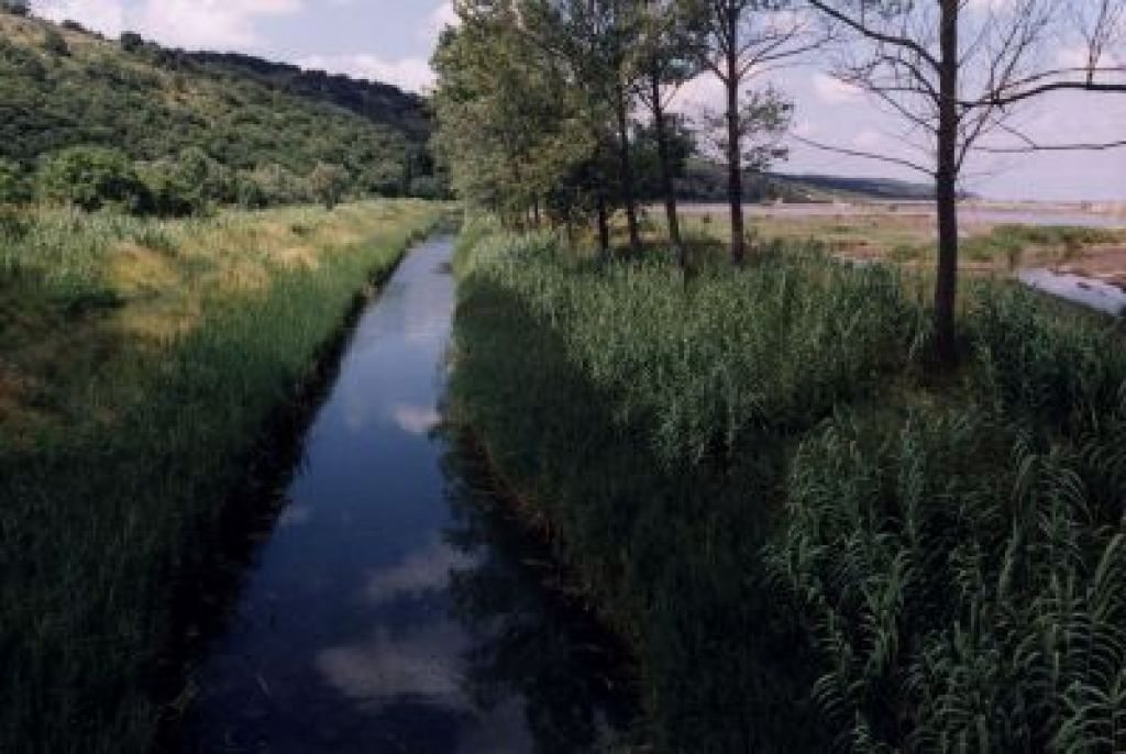 „Zemljišča na levem bregu Dragonje so slovenska“