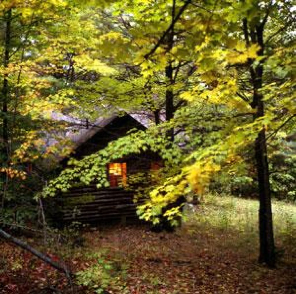 Tragedija pri lovski koči Bohor